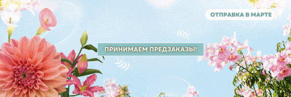 Каталог растений "Весна" 2024 - садовый интернет-магазин Долина Растений