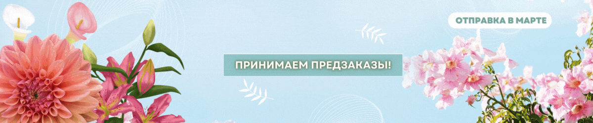 Каталог растений "Весна" 2024 - садовый интернет-магазин Долина Растений